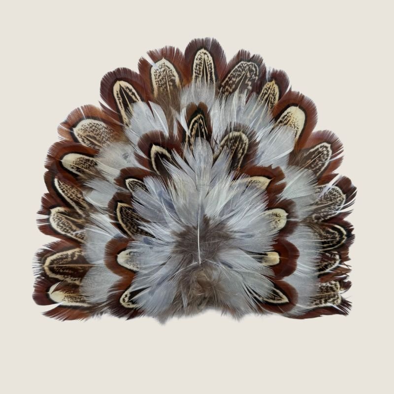 Feather Crest Chute – Willow Lane Wholesale